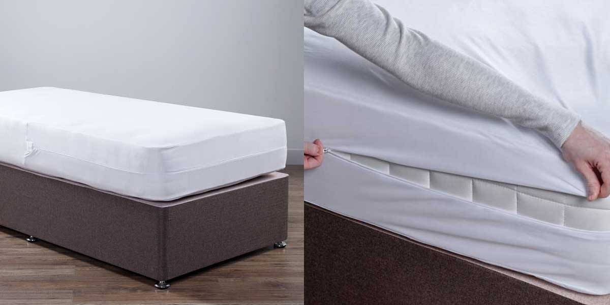 Battle Against Bed Bugs - freetobook